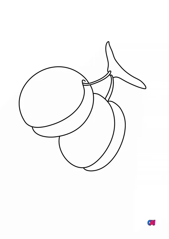 Mes premiers coloriages à imprimer - Des prunes
