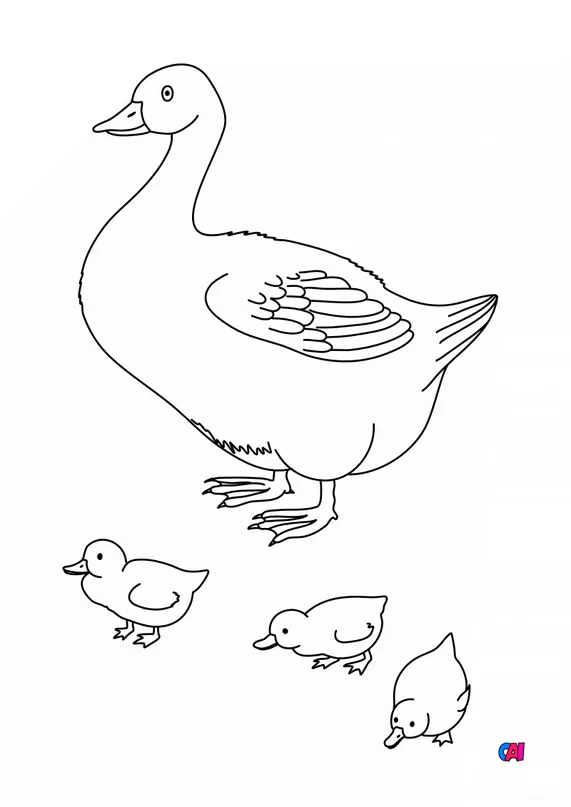 Coloriages d'animaux à imprimer - Une cane et ses canetons